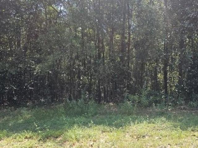 Mill House Dr S, Mobile, AL 36619