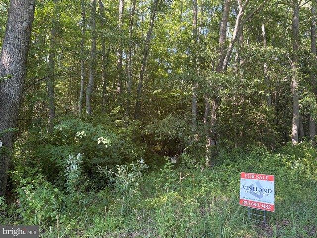 Mill Pond Rd, Hancocks Bridge, NJ 08038