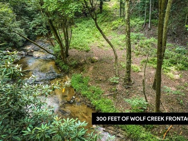 Mill Race Dr, Mineral Bluff, GA 30559