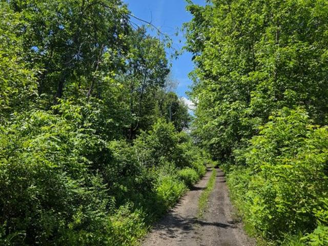 Mill Rd, Moira, NY 12957