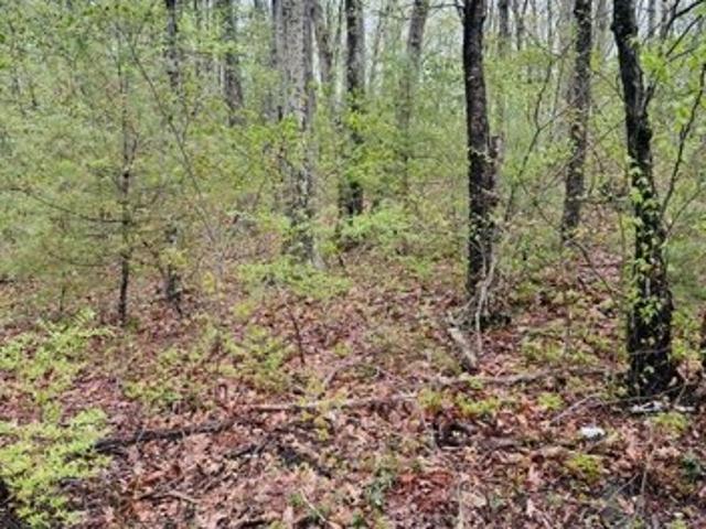 Mill Rd Lot E, North Brookfield, Plot For Sale