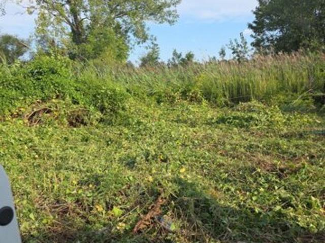 Mill Rd, Staten Island, Plot For Sale