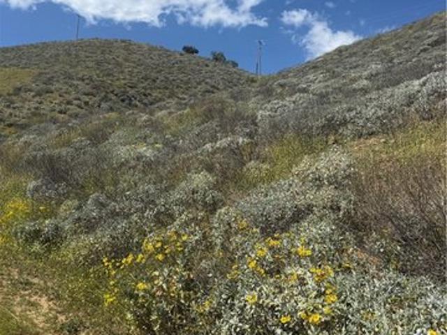 Mill St, Lake Elsinore, CA 92530