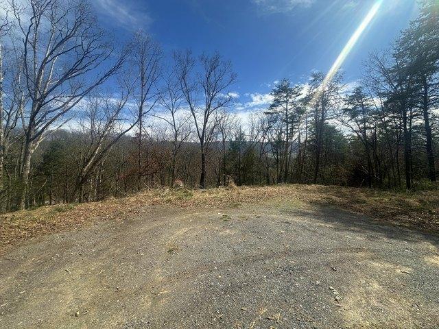 Mill St Lot 8, Peterstown, WV 24963