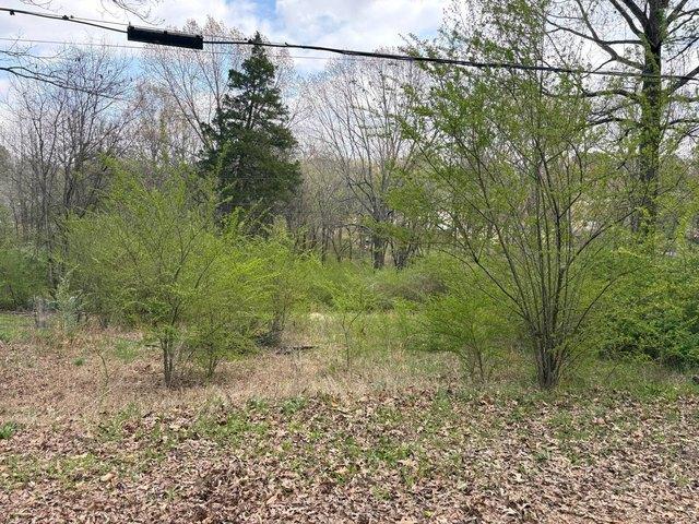 Millcreek Rd, Pocahontas, AR 72455
