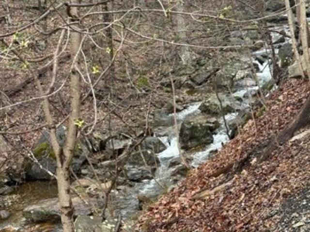 Millbrook Rd, Franklin Twp, Plot For Sale