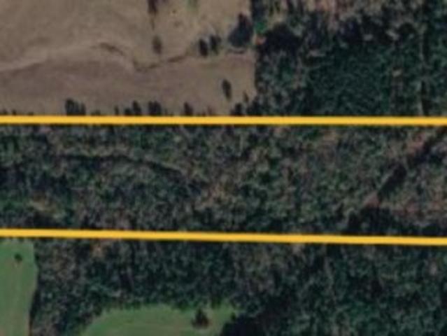 Miller County # 34, Doddridge, AR 71834