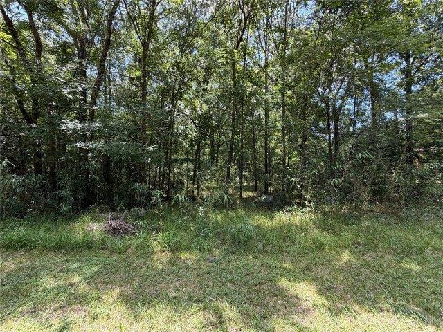 Miller Dr Lot 119, Cleveland, TX 77327