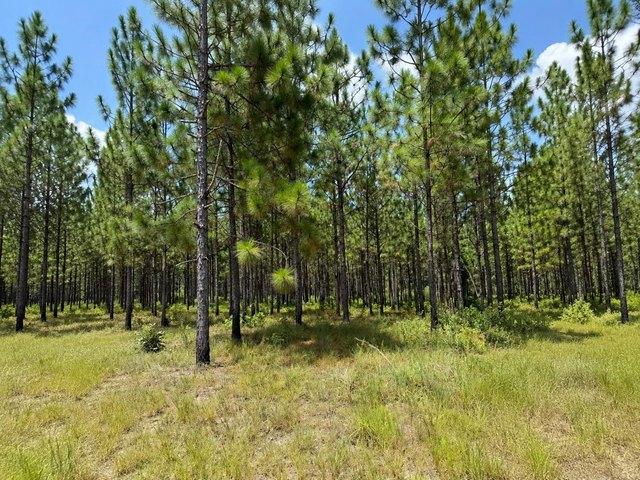 Miller Farm Rd Parcel 4, Lumberton, MS 39455