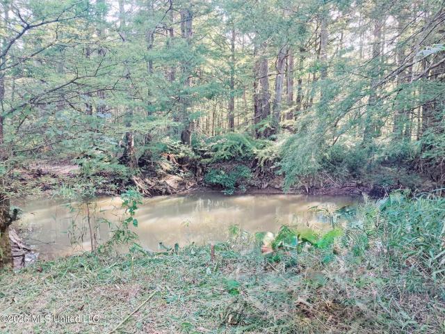 Miller Road, Olive Branch, MS 38654