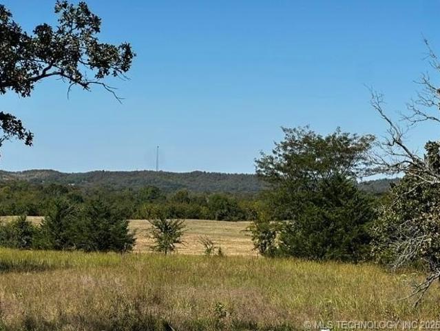 Miller Rd, Stringtown, OK 74569