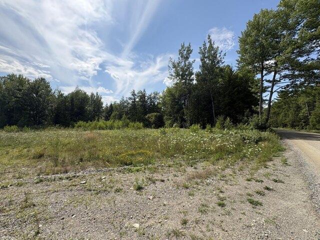Millett Mallett Rd, Lincoln, Plot For Sale
