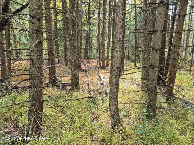 Millheim Rd, Bath, PA 18014 | MLS #PM 139275