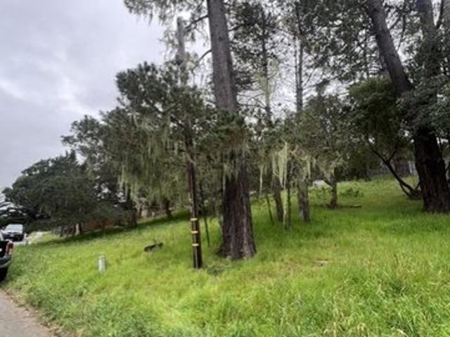 Mills, Cambria, CA 93428