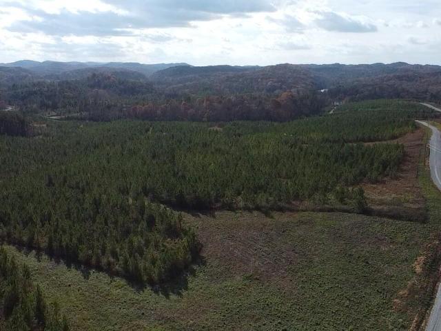 Millsaps Road, Madisonville, TN 37354