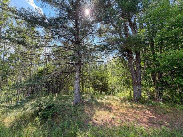Millvale Rd, Bucksport, Plot For Sale