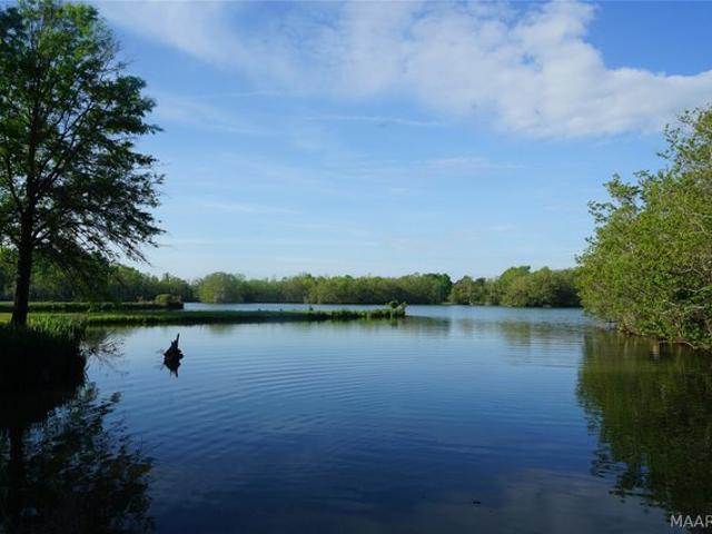 Milly Branch Rd, Pike Road, AL 36064