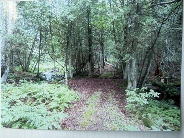 Milo Rd, Dover Foxcroft, Home For Sale
