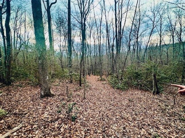 Milo Webb Dr, Crossville, TN 38572