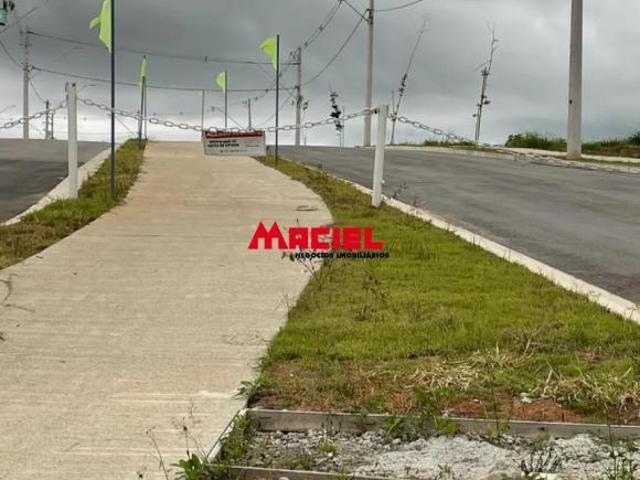 Mirante cambui
