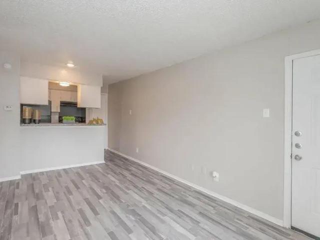 Mireya Apartment Homes 1 Bedroom Apartment for Rent at 3333 Webb Chapel Ext, Dallas, TX 75220