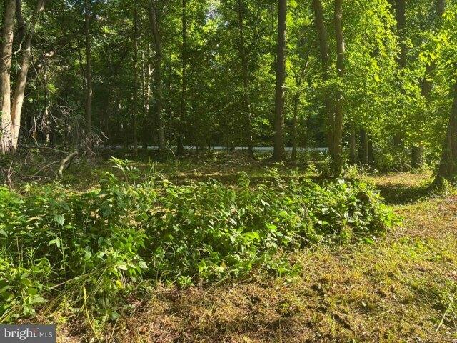 Misty Way, Hartly, Plot For Sale