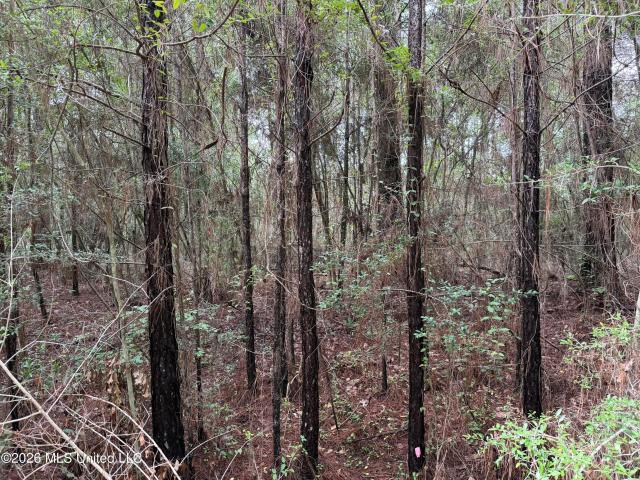 Misty Lane, Lumberton, MS 39455