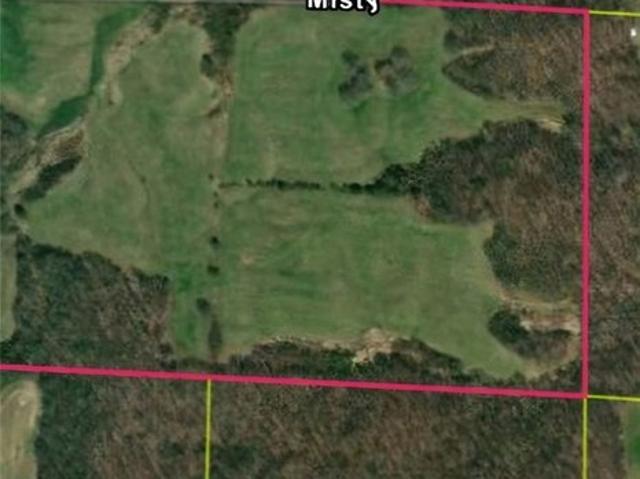 Misty Rd, Pinckneyville, IL 62274