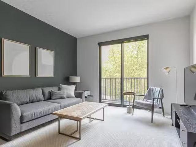 Misora, 388 Santana Row, Valley Fair 1 Bedroom 1 Bath
