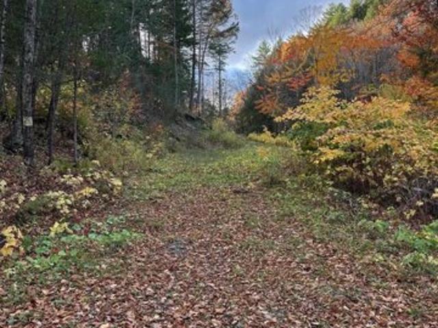 Missing Link Rd, Springfield, Plot For Sale