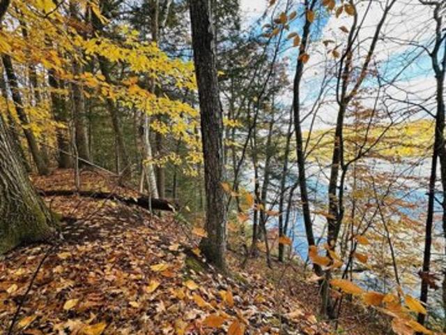 Missing Link Rd, Springfield, Plot For Sale