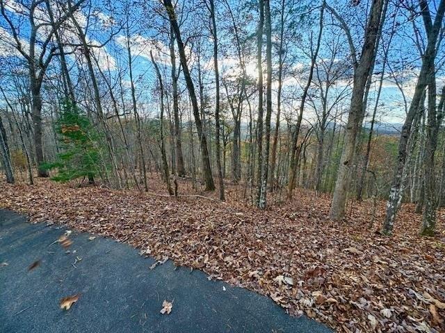 Mission Rdg Lot 49, Hayesville, NC 28904