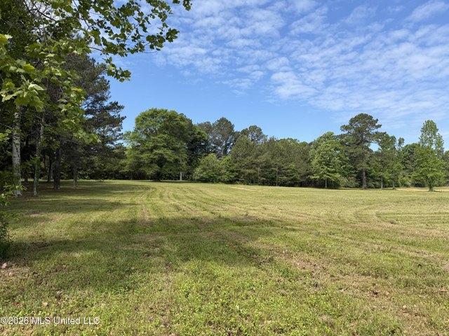 Mississippi 488 Hwy, Carthage, MS 39051