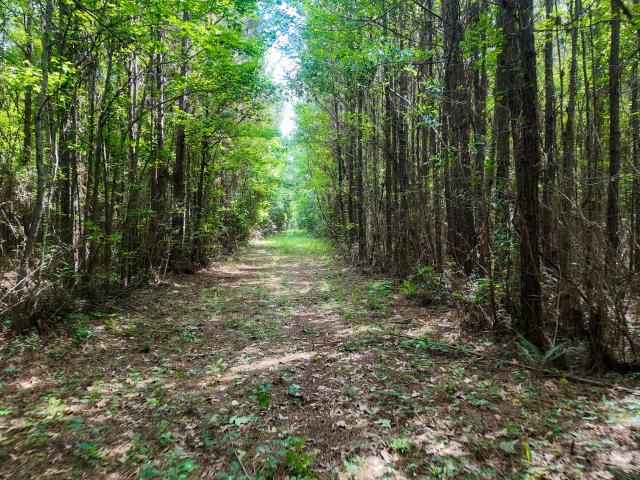 Mississippi 570, Summit, MS 39666