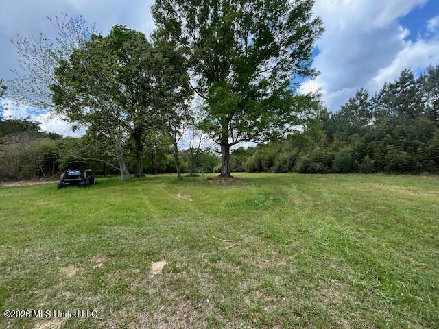 Mississippi 583, Tylertown, MS 39667