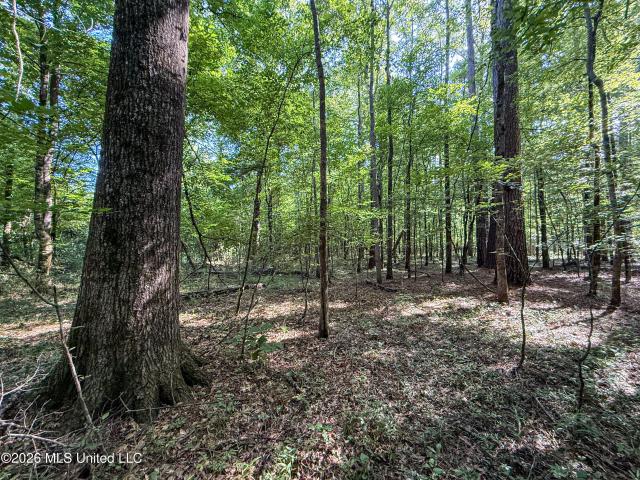 Mississippi 12, Starkville, MS 39759