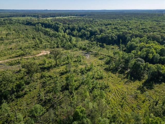 Mississippi 15, Mathiston, MS 39752