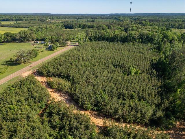 Mississippi 15, Mathiston, MS 39752