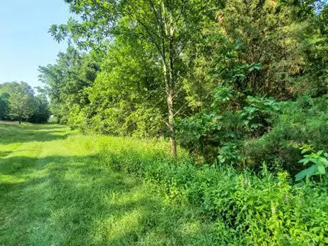 Missouri Land for Sale 2.9 Acres Wooded Lot