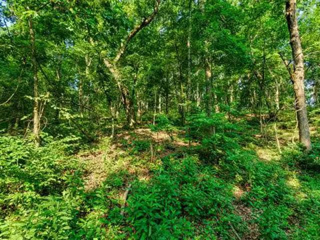 Missouri Land 1.7 Acres Ozarks Tall Trees