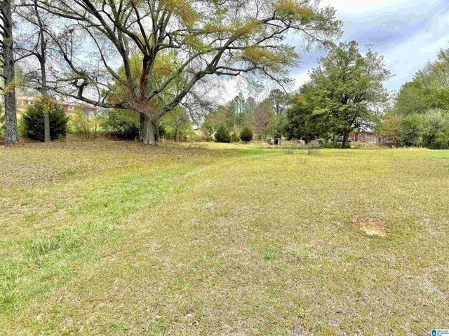 Mitchell Ln Lot 0, Ashland, AL 36251