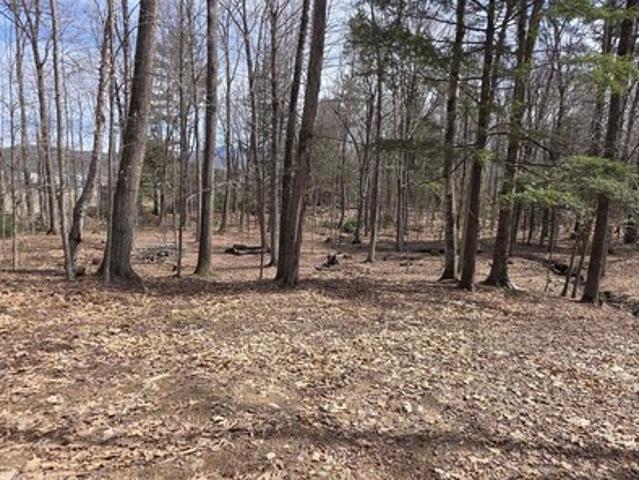 Mitchell Rd, Thornton, NH 03223