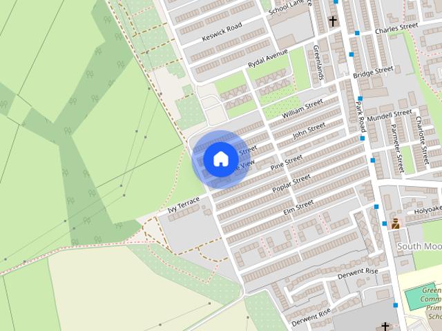 Mitchell Street, South Moor, DH9