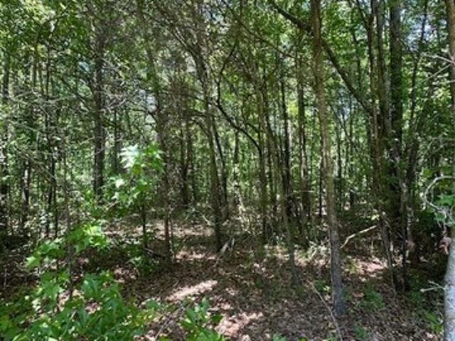 Mize Rd, Commerce, GA 30529