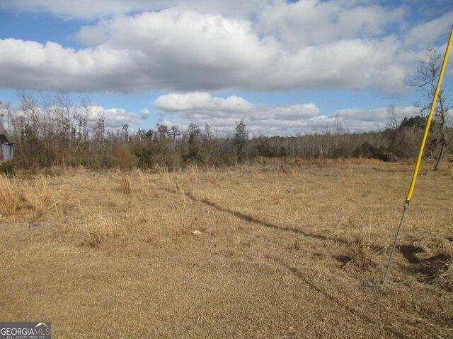 Mizell Rd, Pearson, Plot For Sale