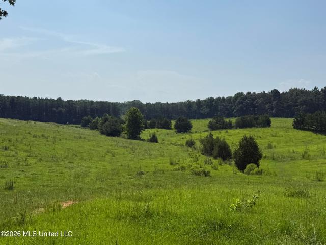 Monte Vista Road, Eupora, MS 39744