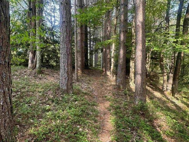 Monte Carlo Ct Lot 70, Davis, WV 26260