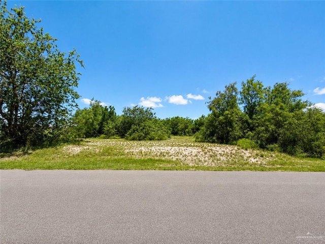 Monte Cristo Heights Rd, Edinburg, TX 78541