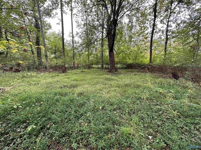 Monte Sano Blvd Lot 2, Huntsville, AL 35801