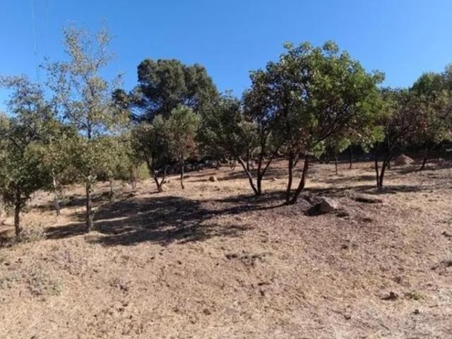 Montezuma Dr, Kelseyville, CA 95451